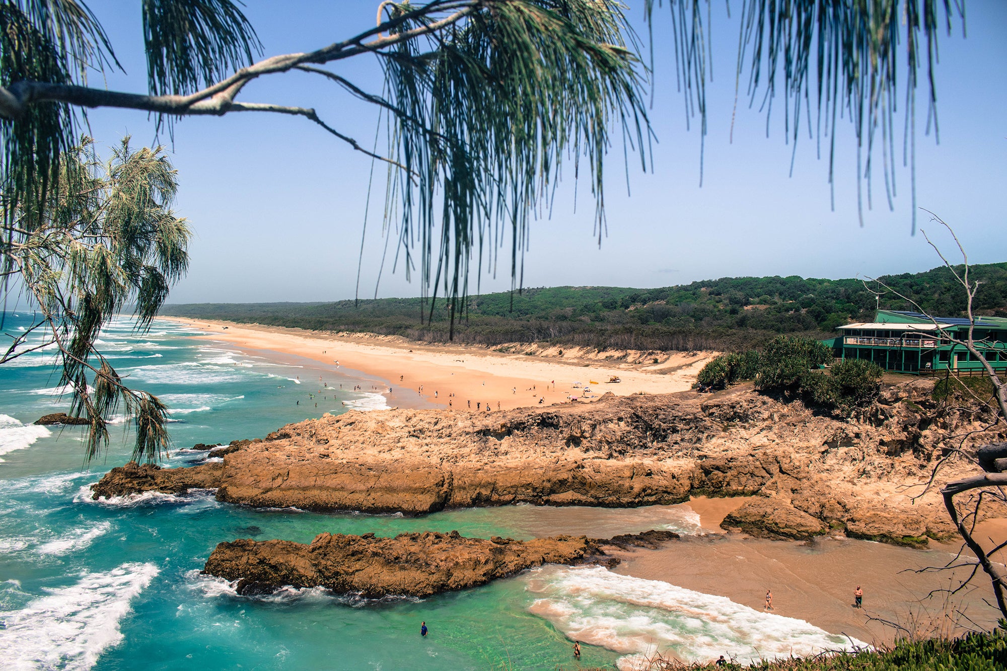 Straddie T-Shirts – STRADDIE T-SHIRTS